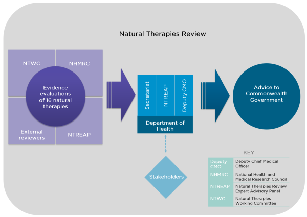 2019-20 Natural Therapies Review. - Australian Kinesiology Association Inc.